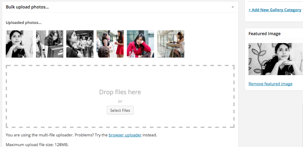 Buntington - WordPress Theme documentation