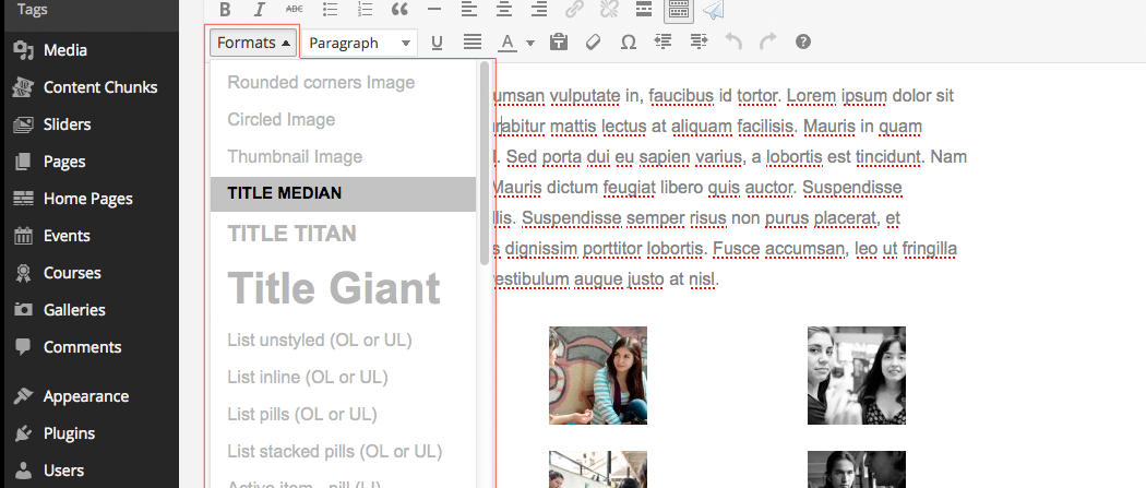 Buntington - WordPress Theme documentation